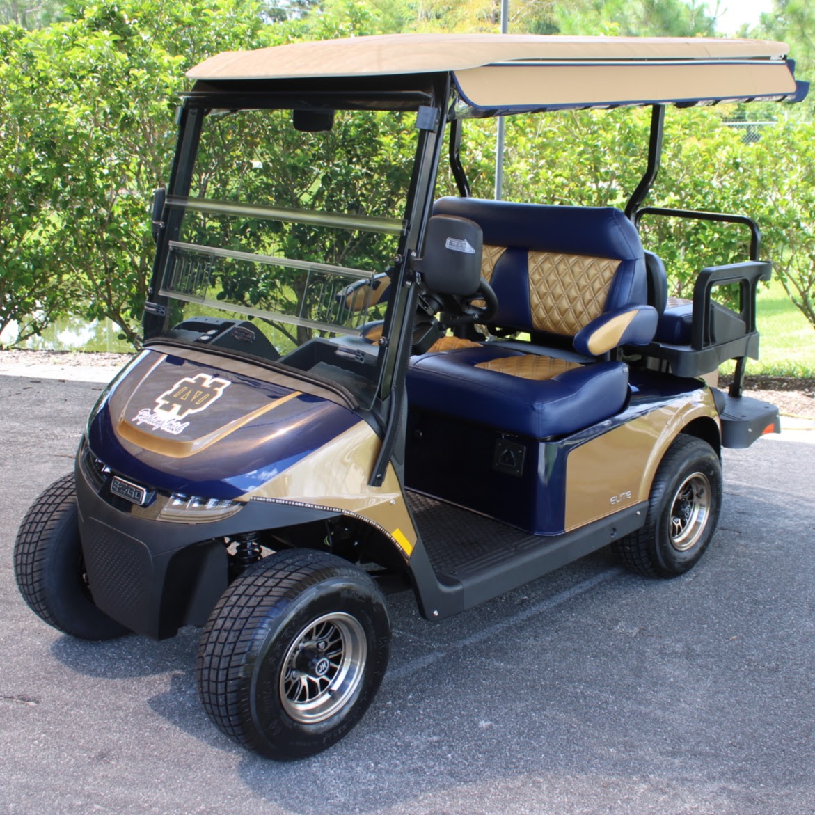 2025 E-Z-GO Freedom RXV ELiTE + RFS - The Villages Golf Cars : The ...